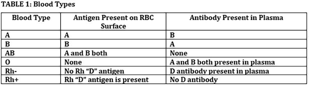 4.05 Blood Types