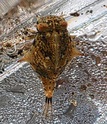 Lesson 3.03 Sources of Drinking Water