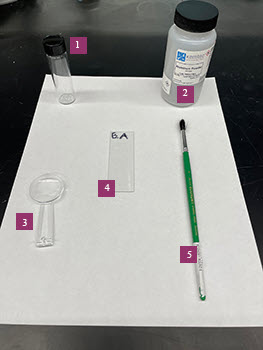 fingerprint dusting lab