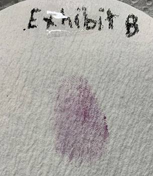 3.06 Fingerprint Lab