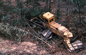 3.06 Reforestation: Planning