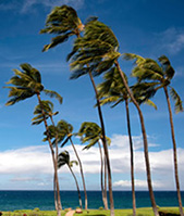 -ER Verbs Text Version