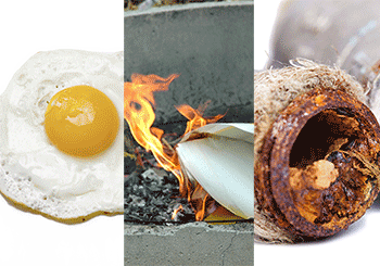 3.01 Chemical Reactions