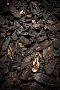 Lesson 7.04 The Holocaust